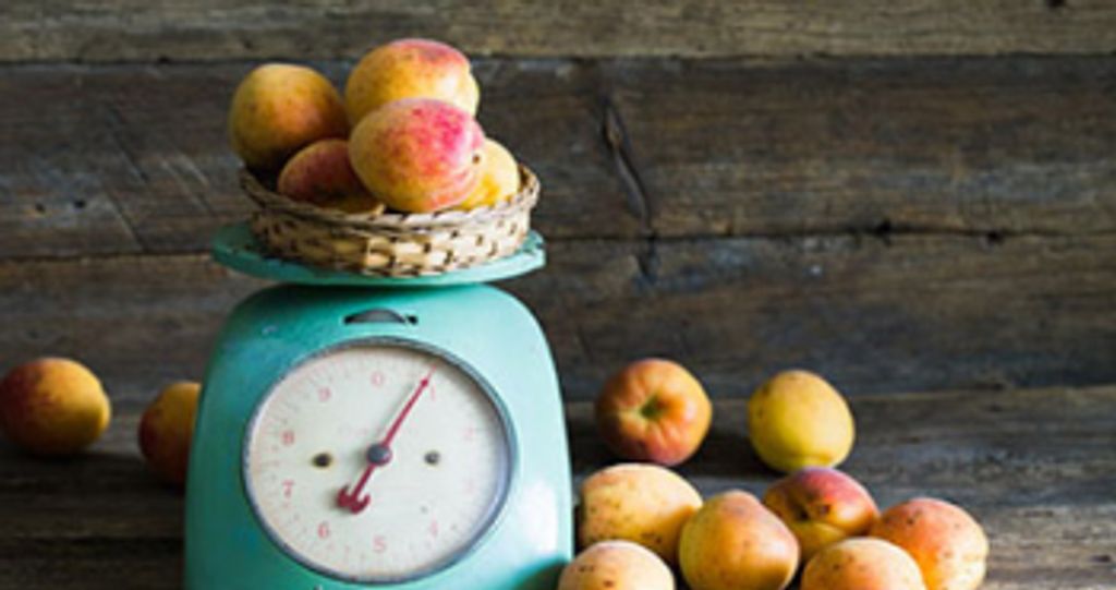 Learning Centre for Shippers - The Complete Beginner's to Advanced ...